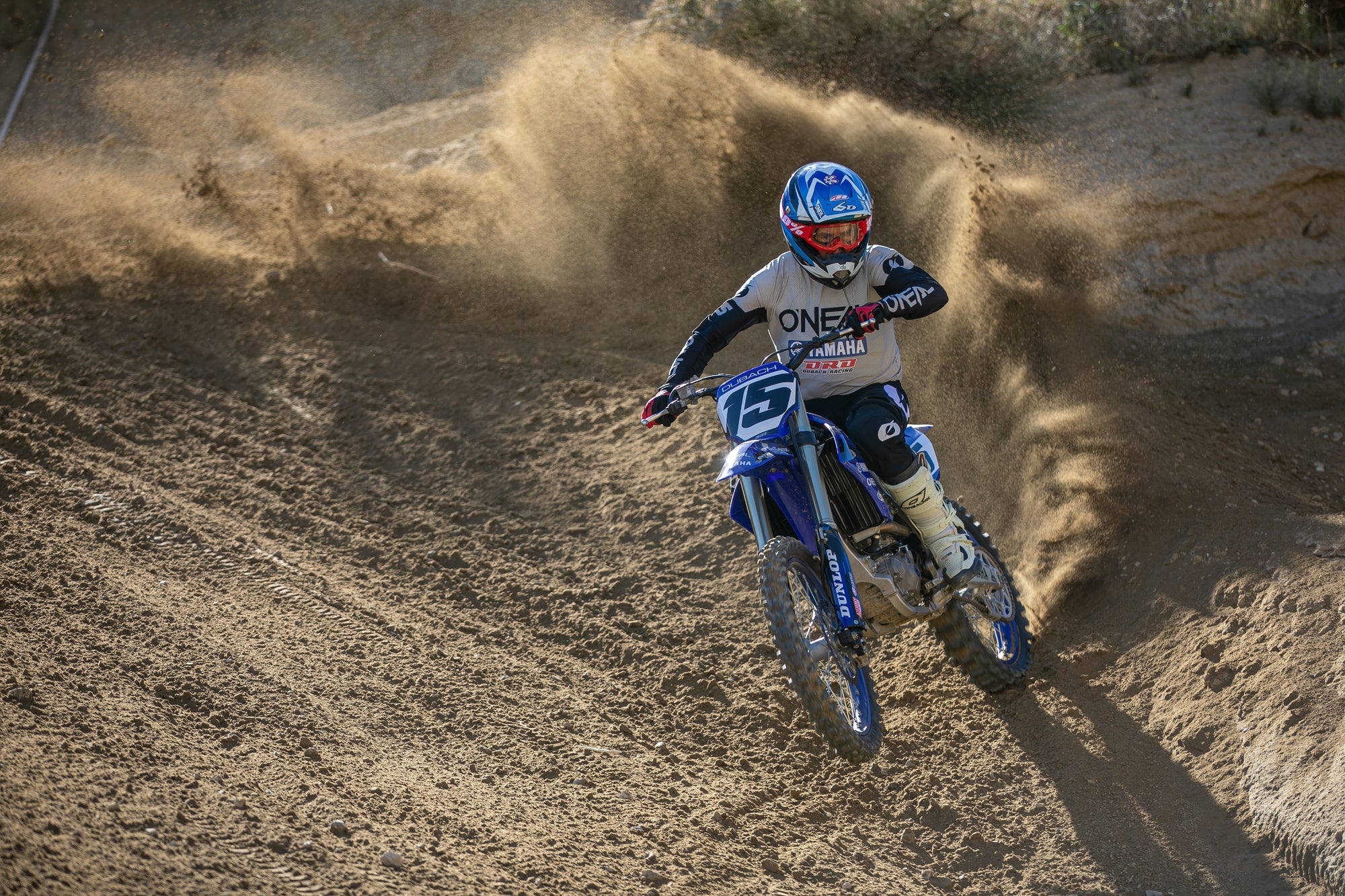 Dubach Racing Development